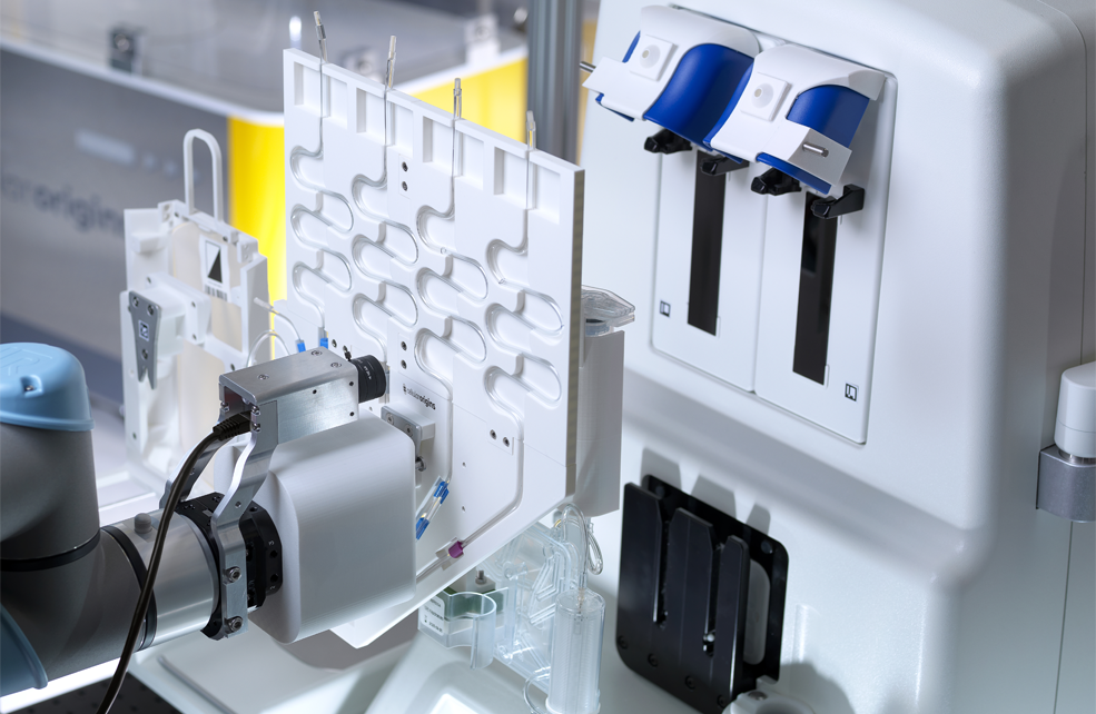 The Hub - Cellular Origins