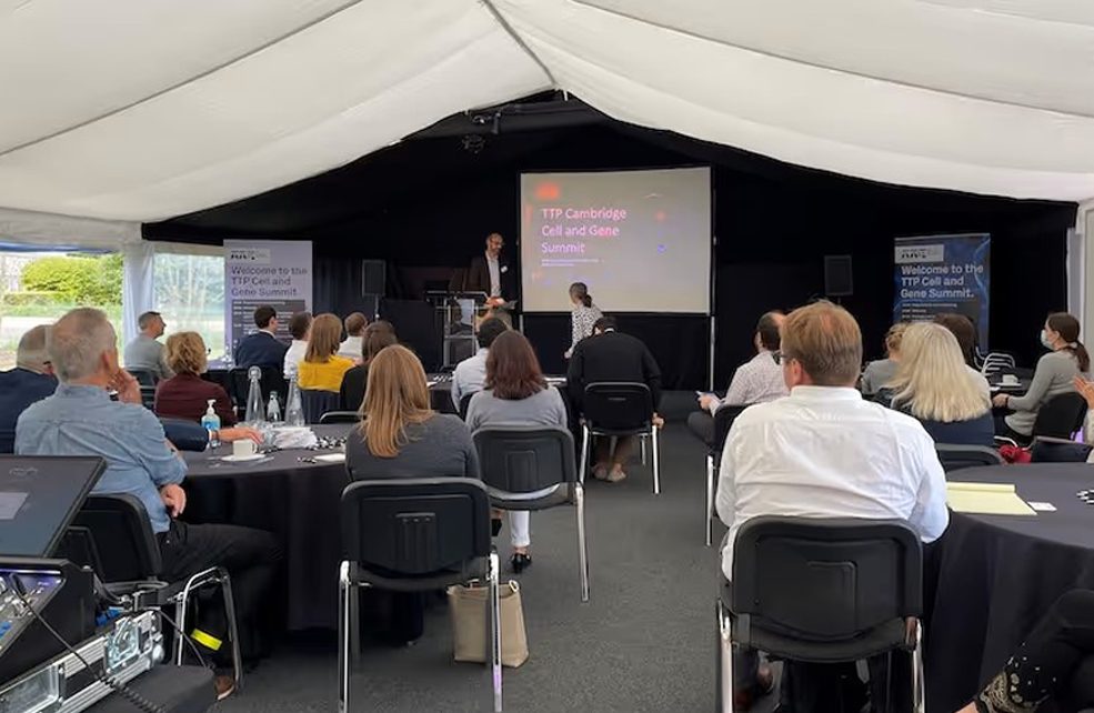 The Hub - Cellular Origins